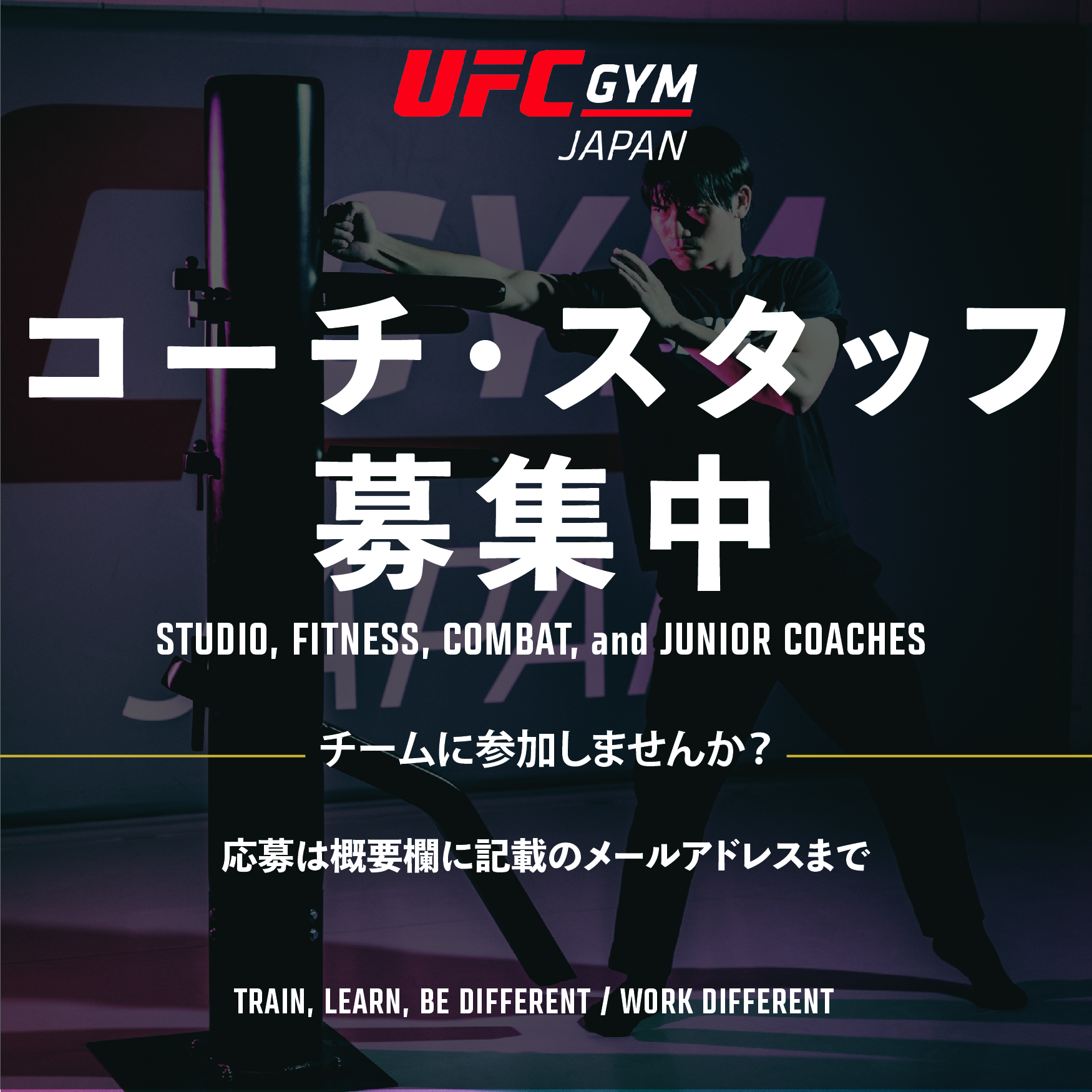 CAREER - UFC Gym Japan